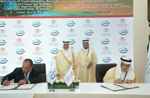 Riyadh Daily