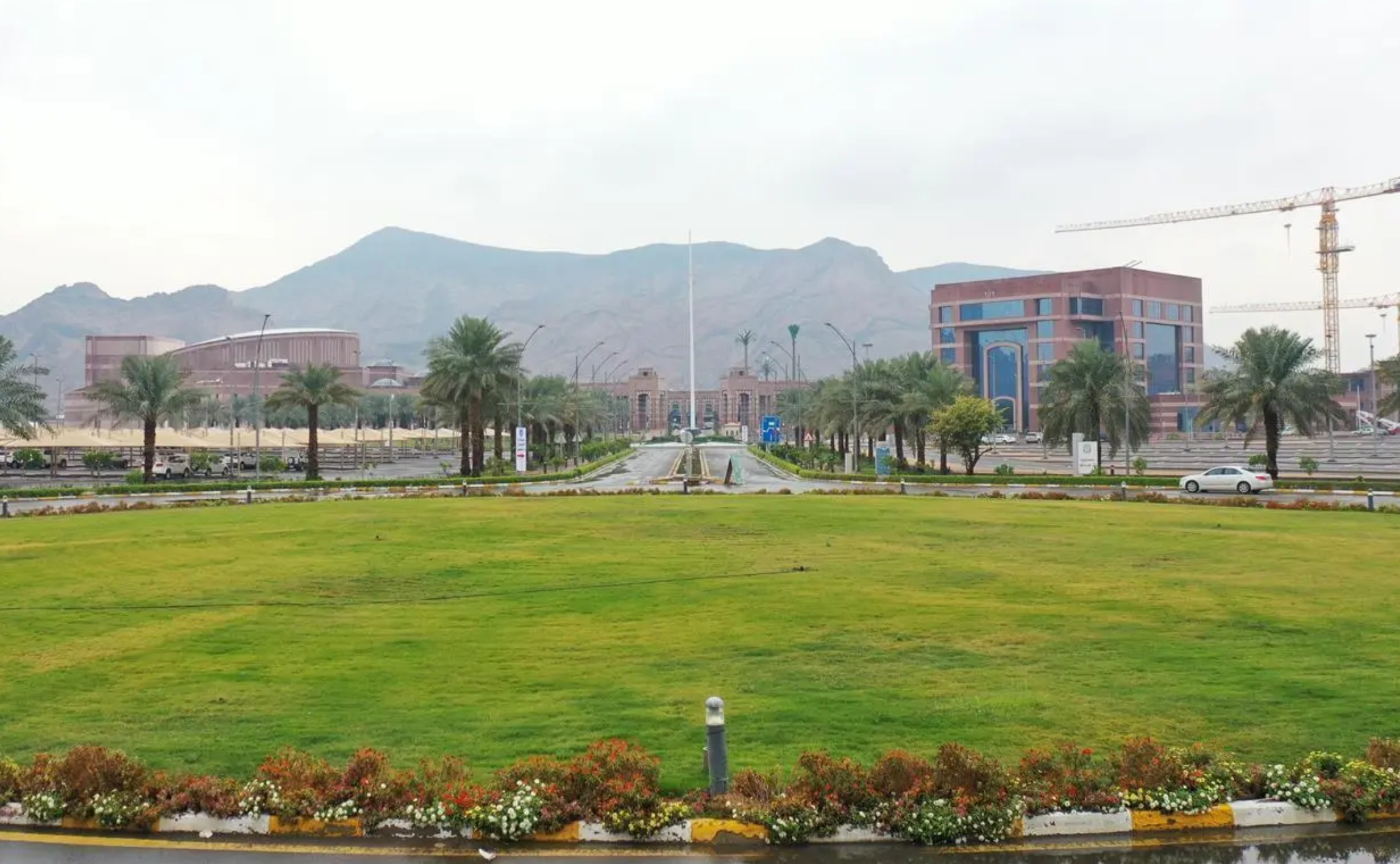Riyadh Daily